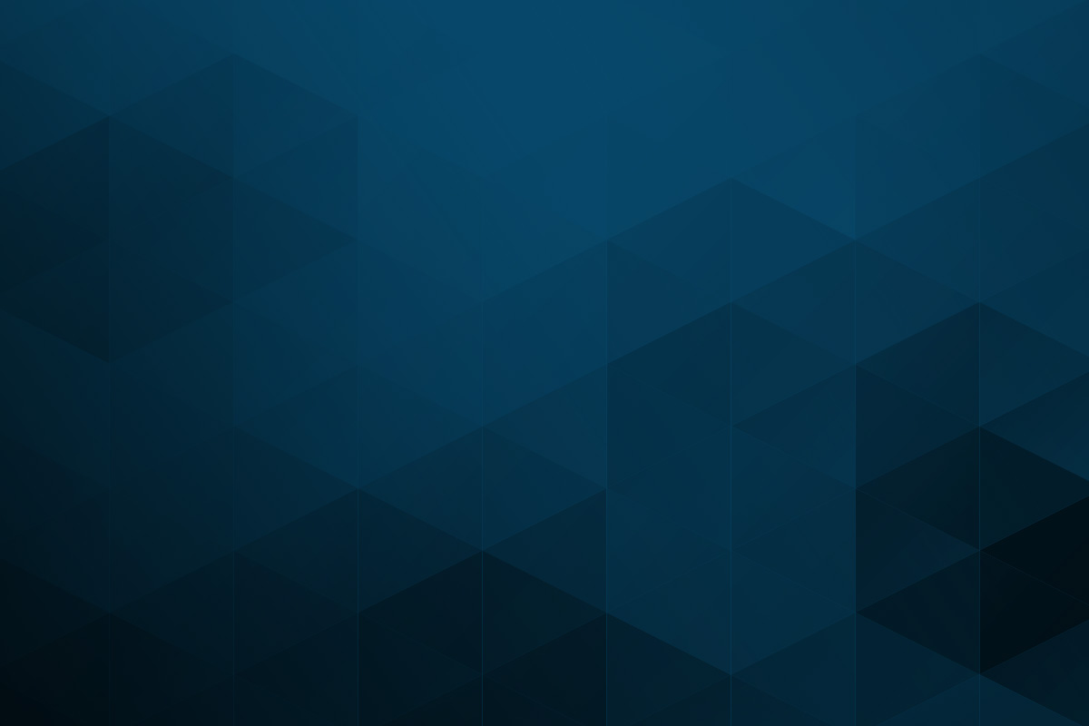 Saas Vs On Premises The Total Economic Impact™ Of Veracodes Saas
